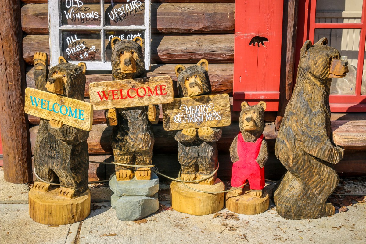 Blue Ridge Bears – American Photo Blog